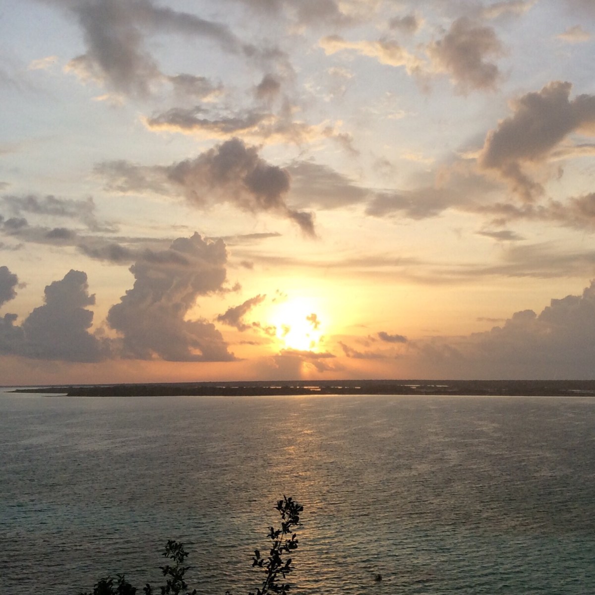 Cenotes – Sacred Mayan Wells | the adventures of dos tortas